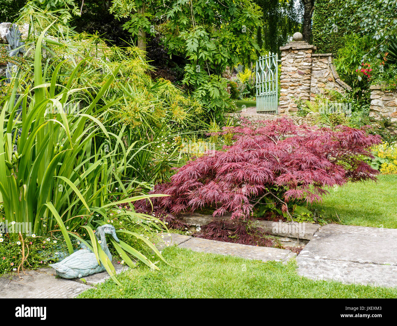 The Millennium Garden, part of Burrow Farm Gardens, Devon's Secret ...