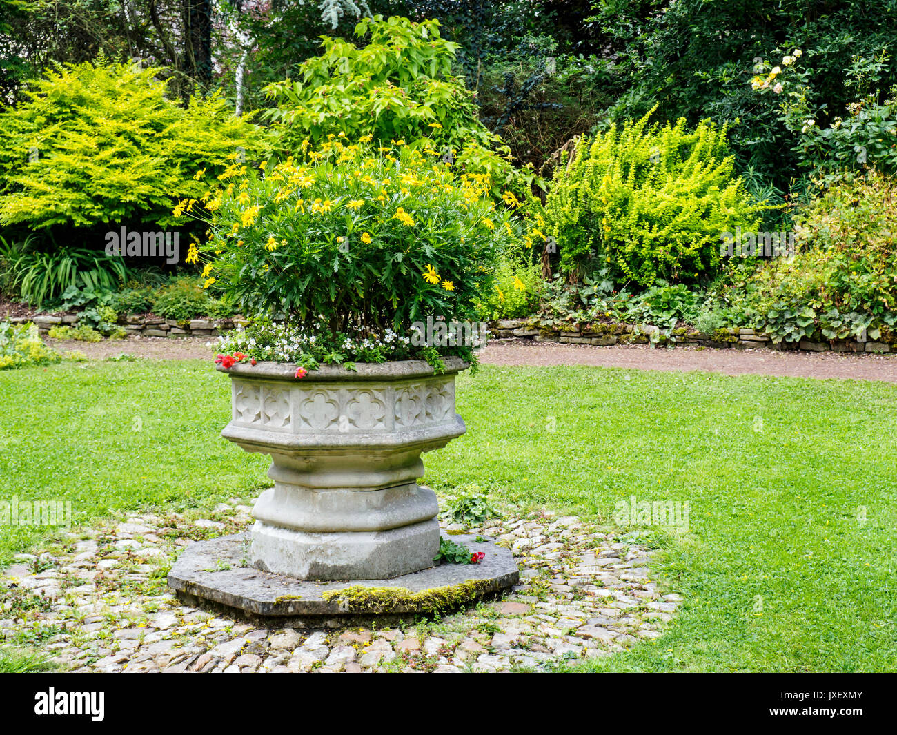Devons secret garden hi-res stock photography and images - Alamy