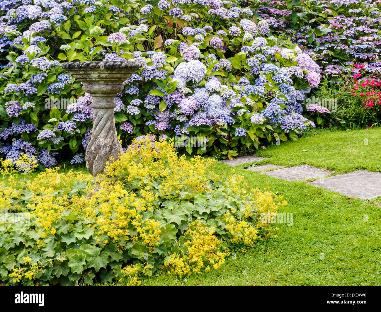 Devons secret garden hi-res stock photography and images - Alamy