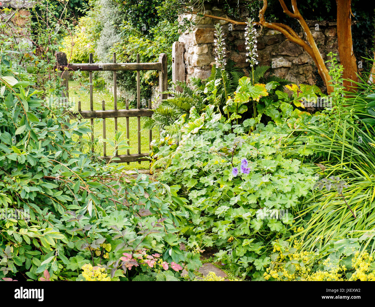 Devons secret garden hi-res stock photography and images - Alamy