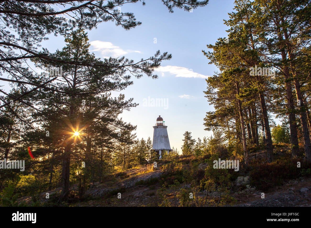old lighthouse in the woods Stock Photo - Alamy