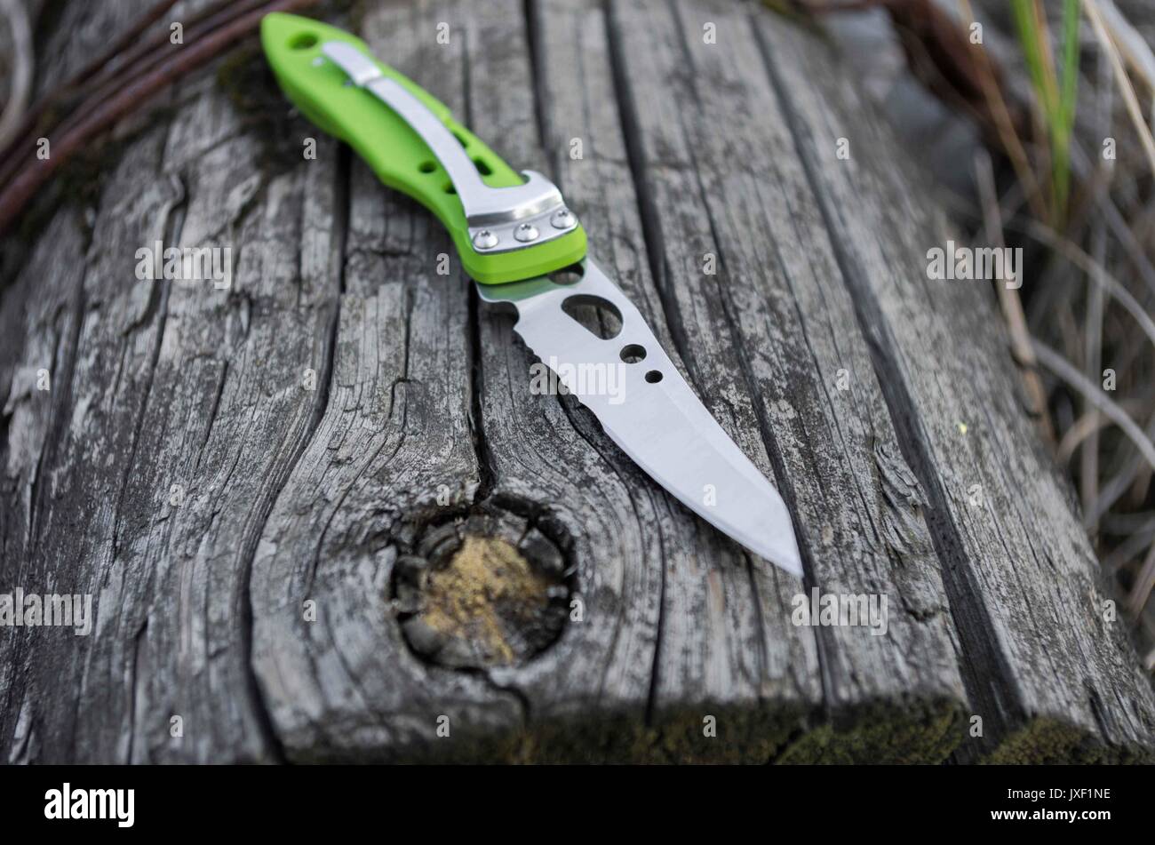 Knife with a serration blade. Old gray stump. EDC knife Stock Photo - Alamy