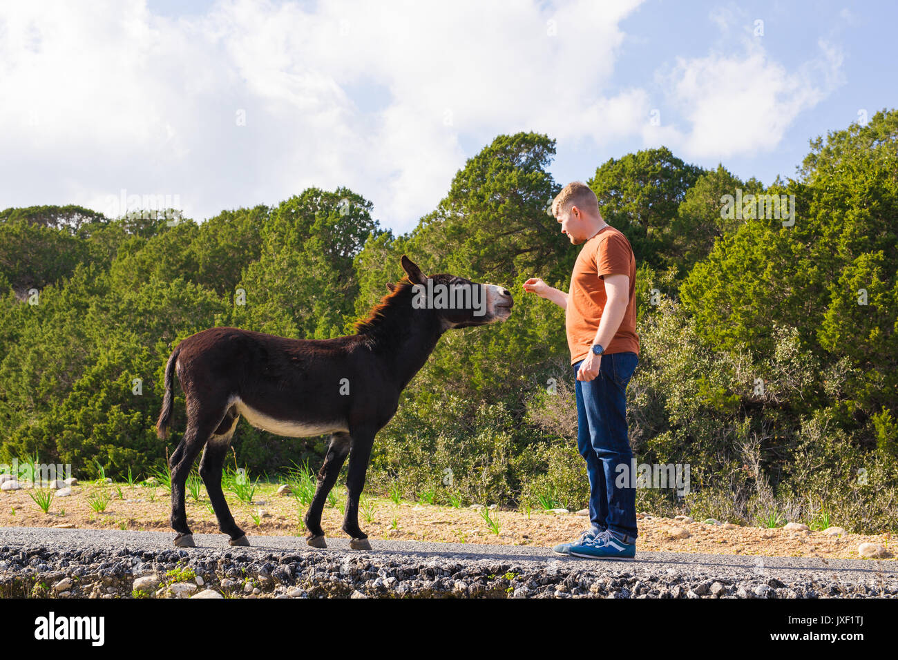 Man hugs horse hi-res stock photography and images - Alamy
