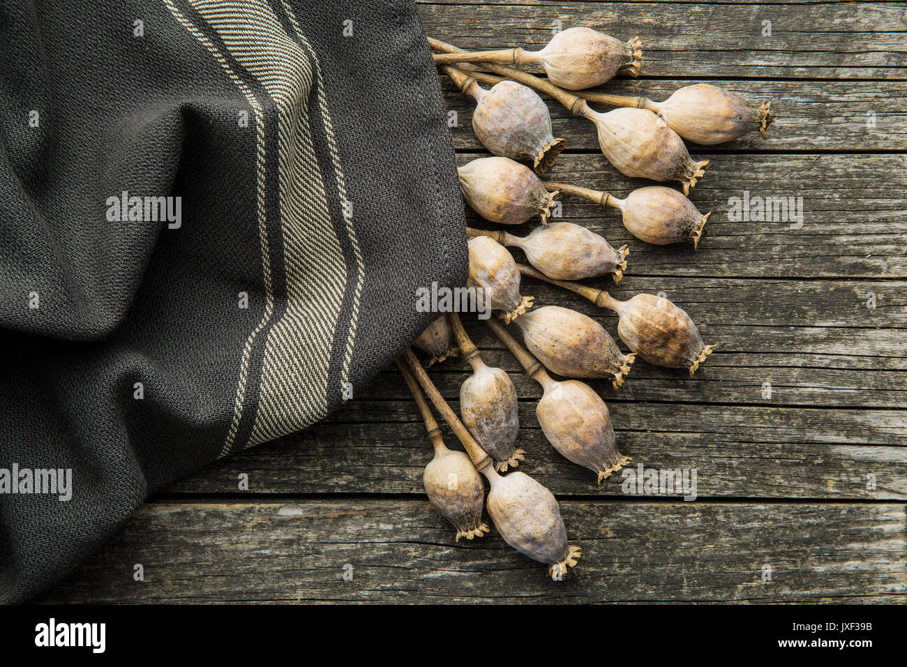 Dried poppy heads. Blue poppy. Top view Stock Photo - Alamy
