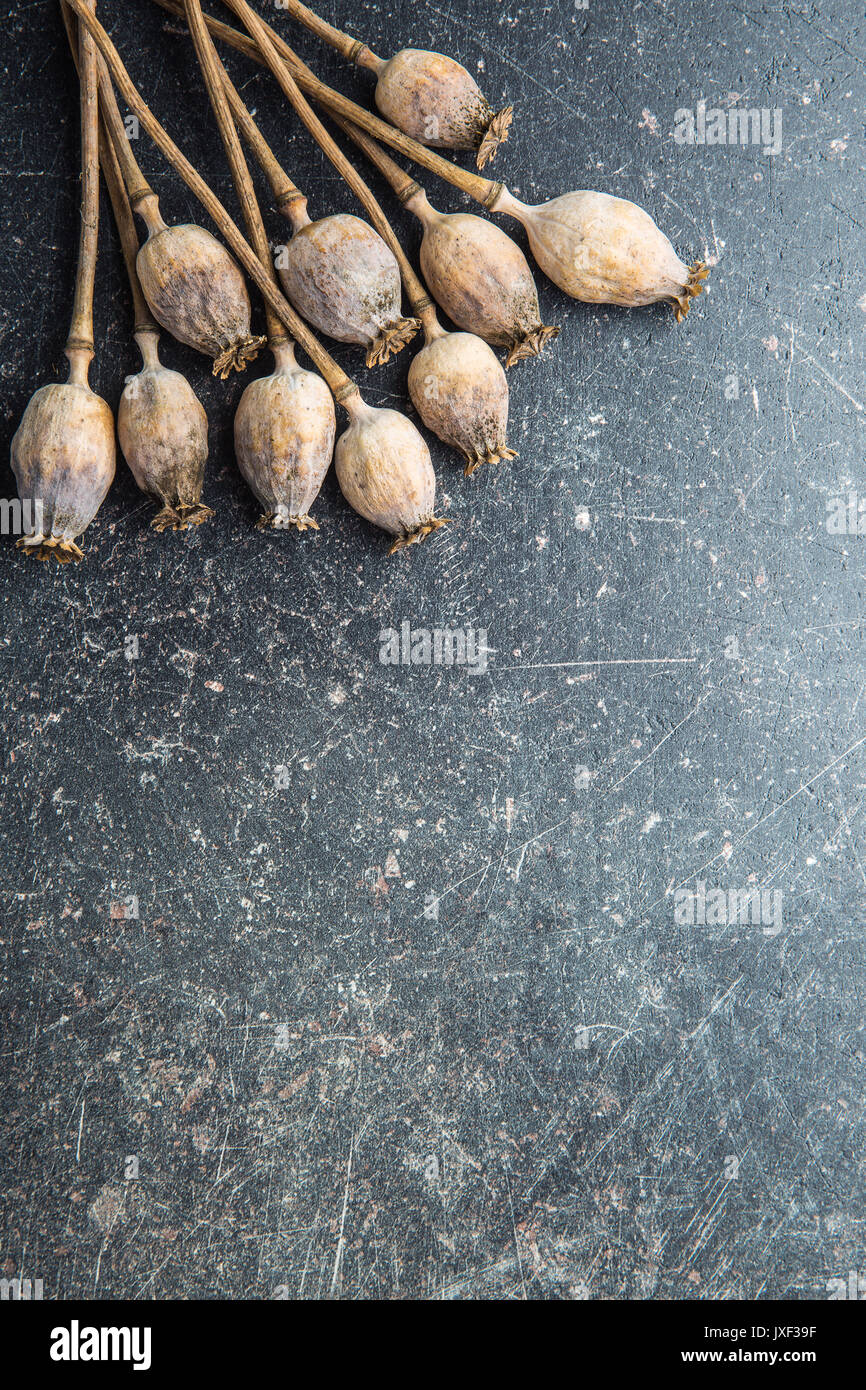 Dried poppy heads. Blue poppy. Top view Stock Photo - Alamy