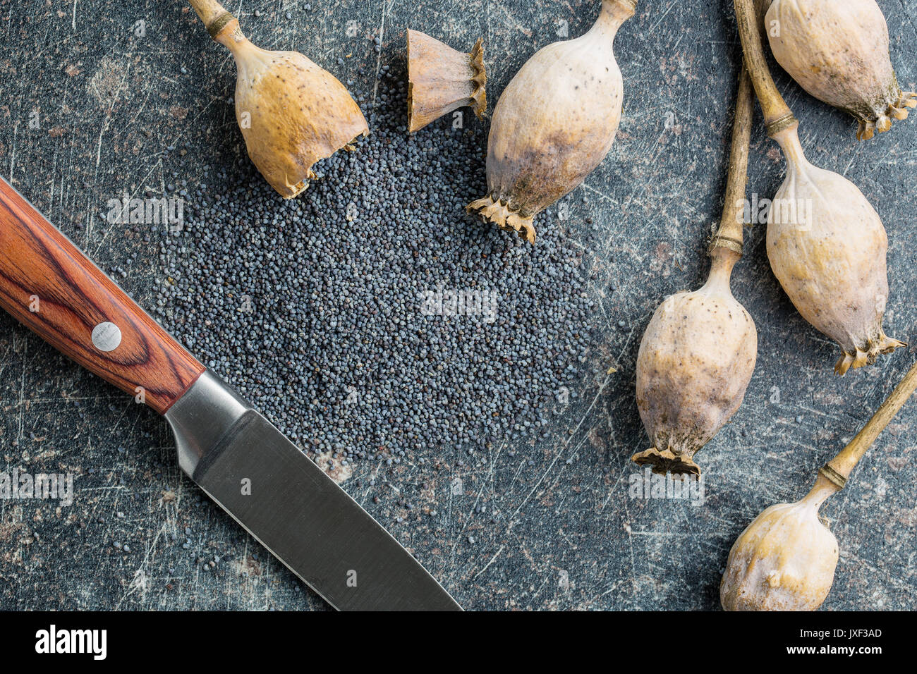 Dried poppy heads and seeds. Blue poppy. Top view Stock Photo - Alamy