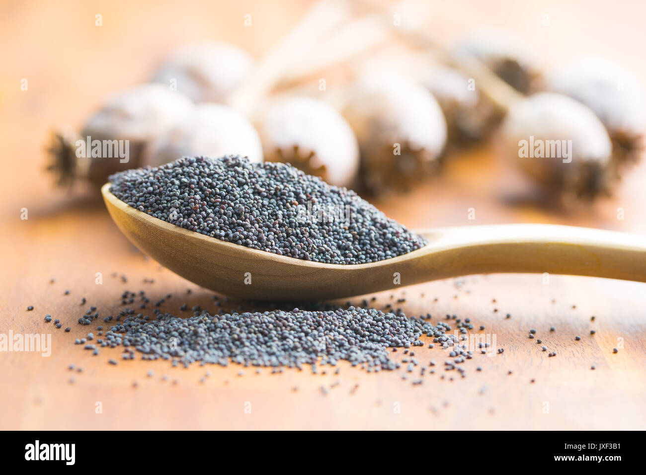Poppyhead seeds hi-res stock photography and images - Alamy