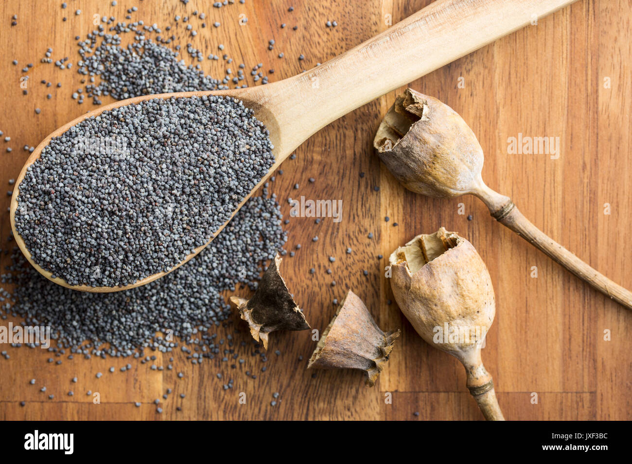 Dried poppy heads and seeds. Blue poppy. Top view Stock Photo - Alamy