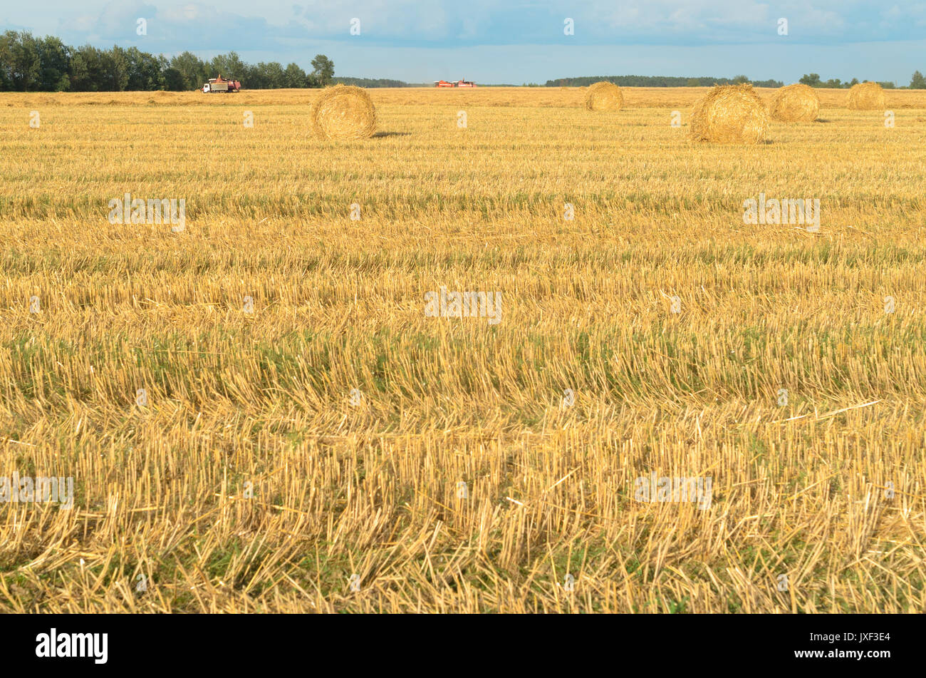 Special machines for harvesting form round bales of hay Stock Photo - Alamy