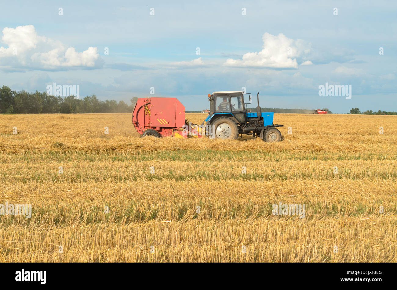 Golden hay bales form hi-res stock photography and images - Alamy