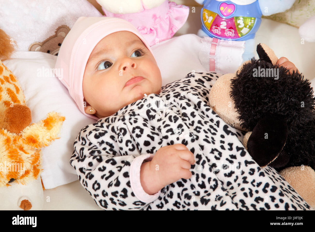 Cute stuffed animals hi-res stock photography and images - Alamy