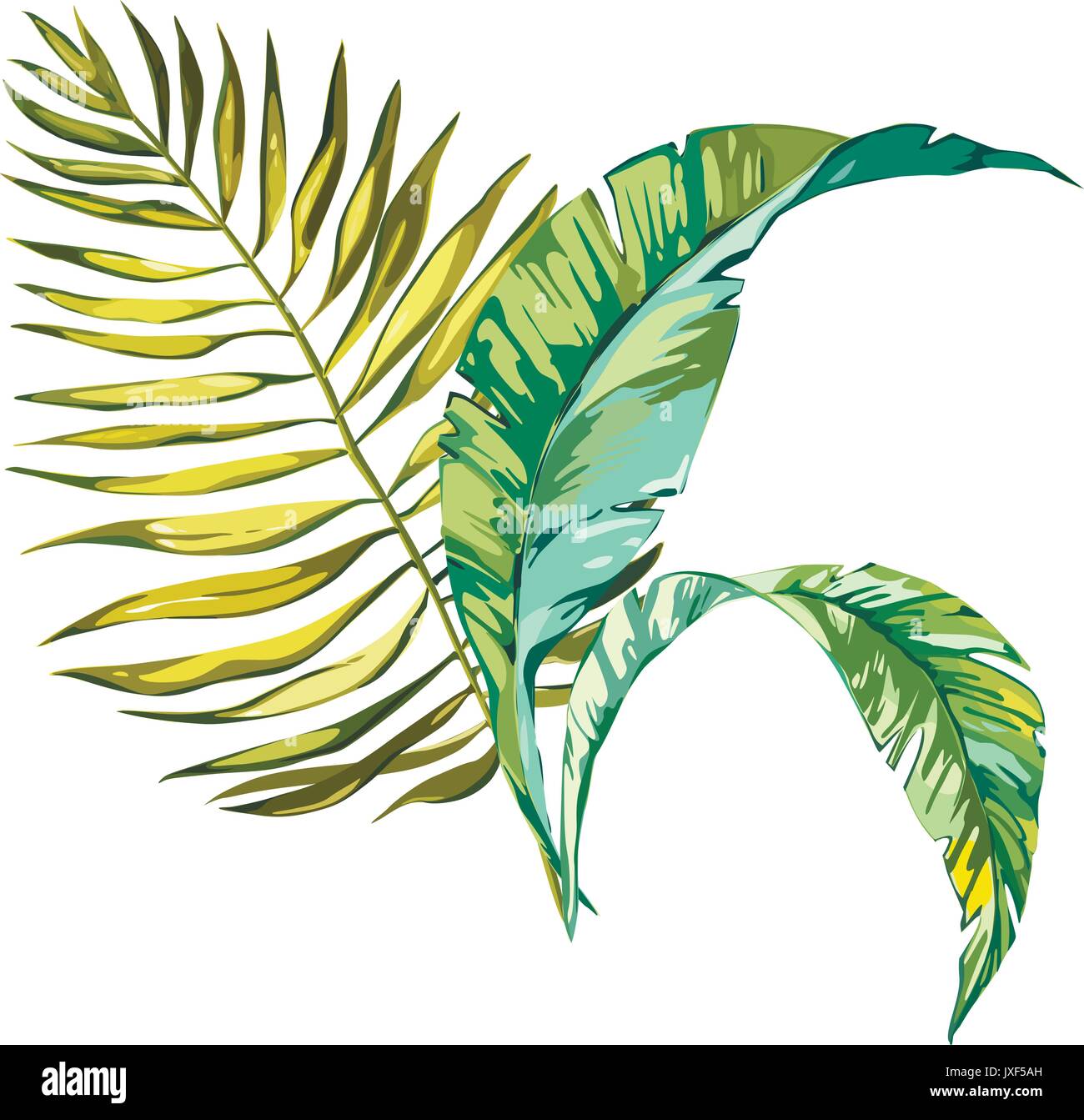 Jungle Leaves Vector