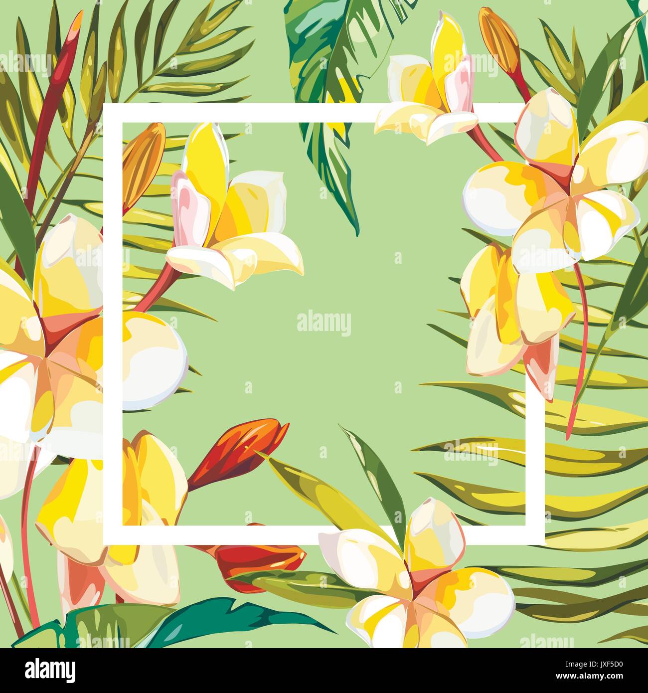 Banner, poster with palm leaves, jungle leaf and plumeria flowers ...