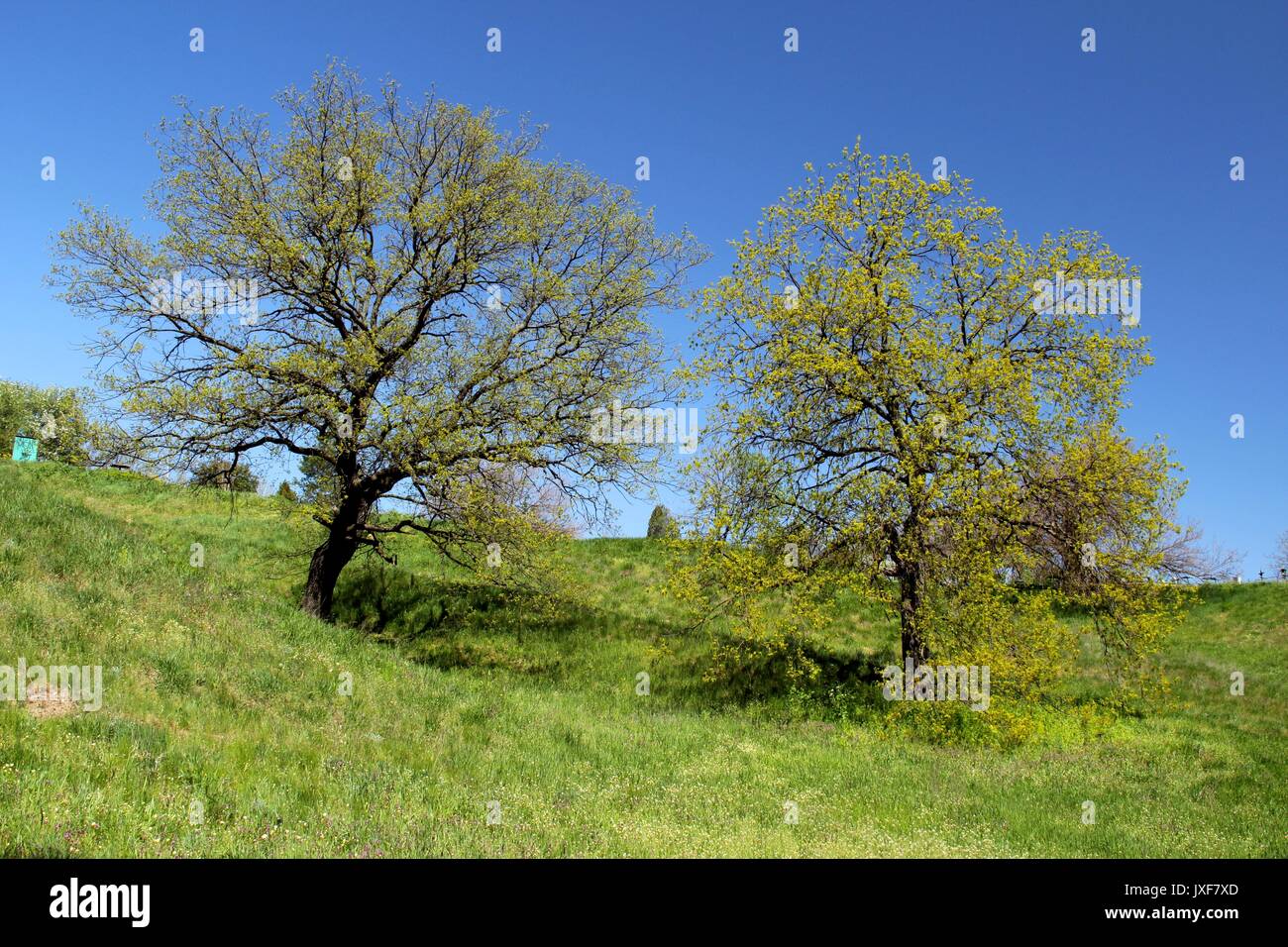 Khortitsa spring hi-res stock photography and images - Alamy