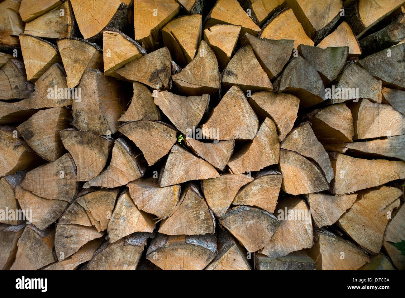 An intricately-constructed log-pile next to a farmhouse near the ...
