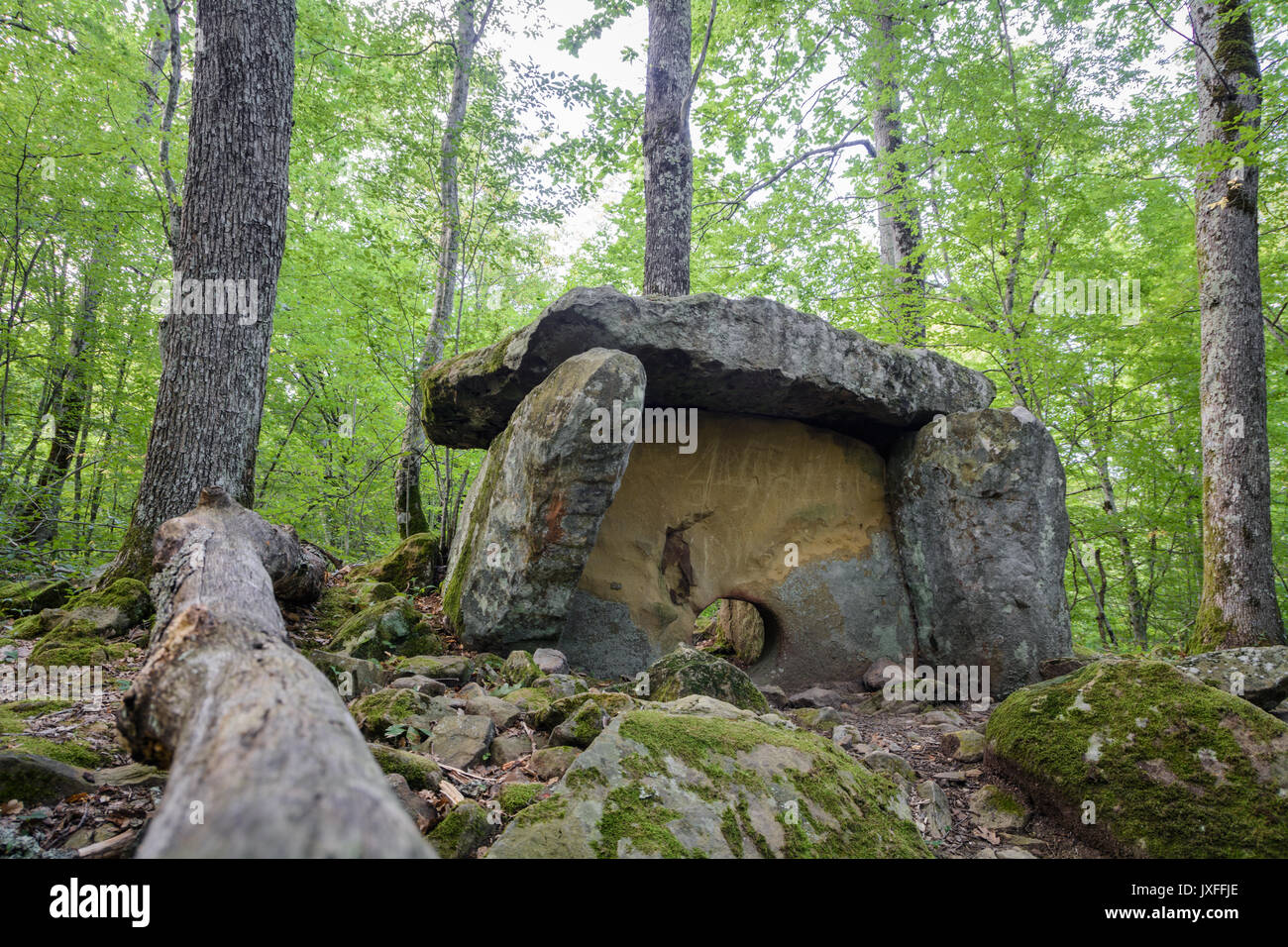 Kavkaz hi-res stock photography and images - Alamy