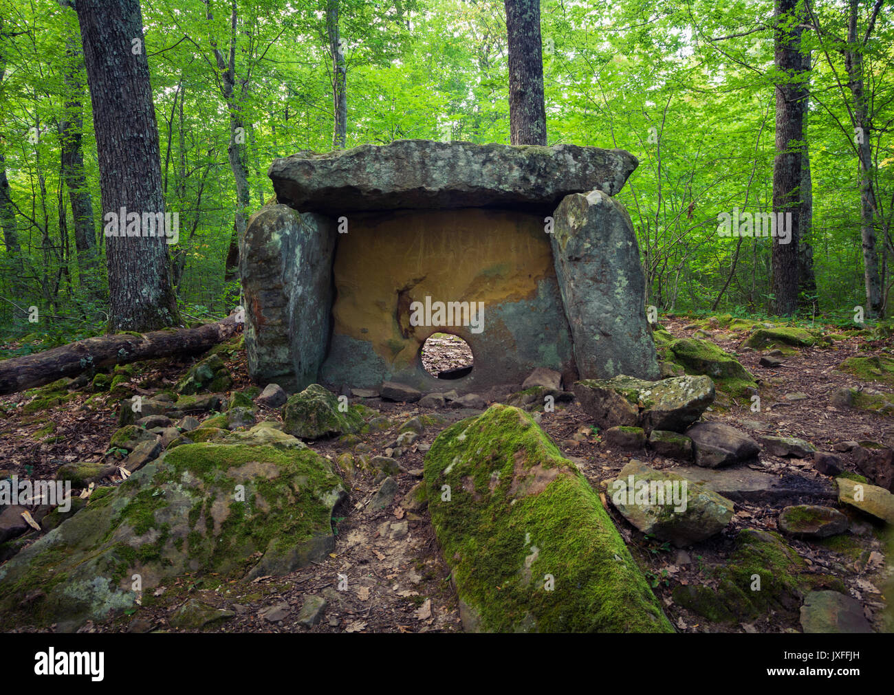 Kavkaz hi-res stock photography and images - Alamy