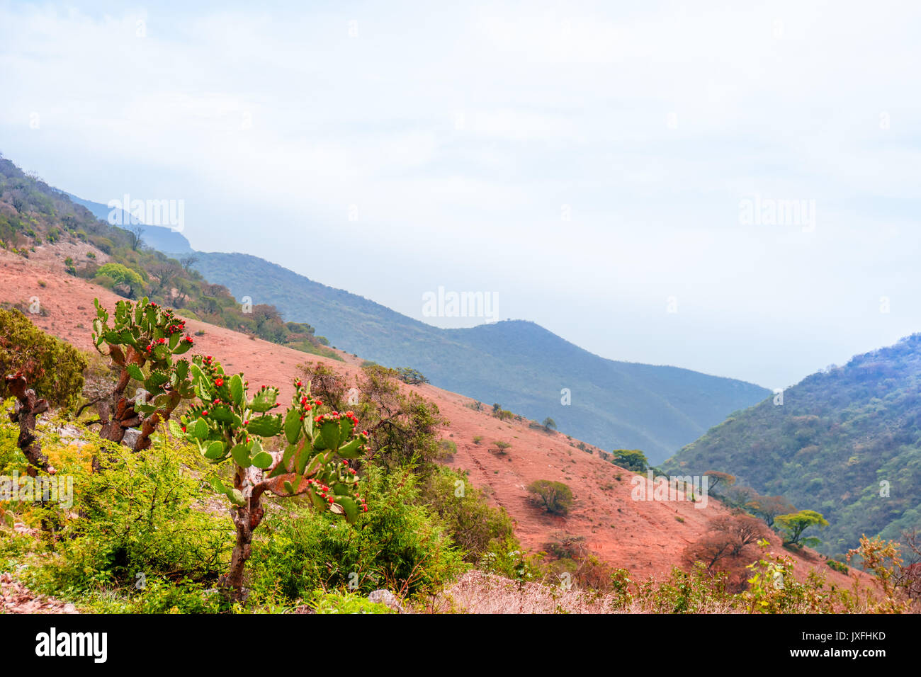 Mexico countryside landscape oaxaca hi-res stock photography and images ...