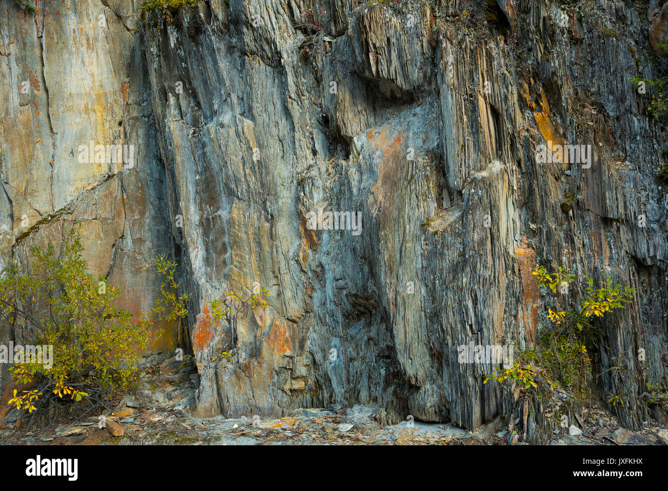 Strata along the Kicking Horse River in Yoho National Park, British ...