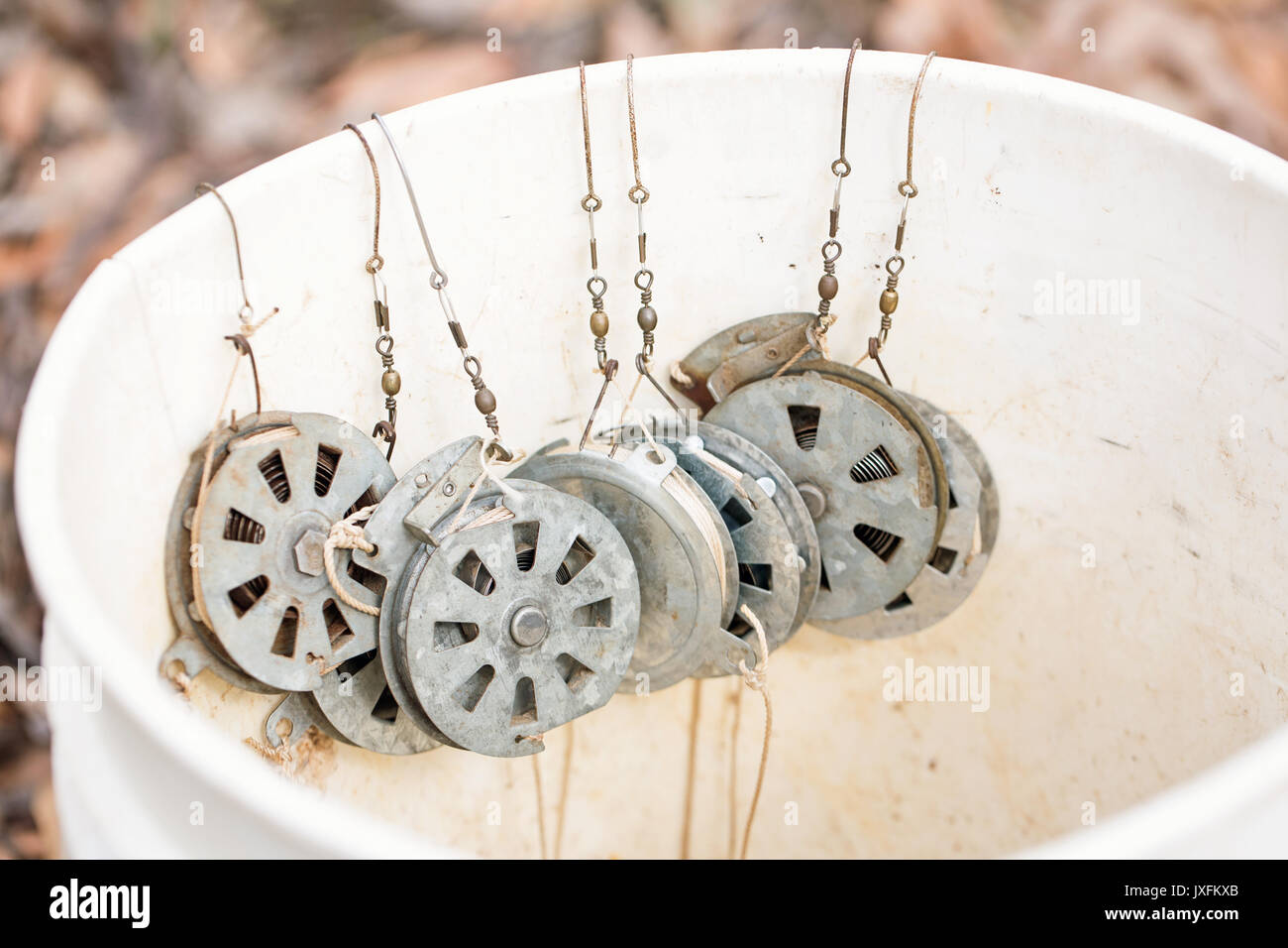 Mechanical fish hi-res stock photography and images - Alamy