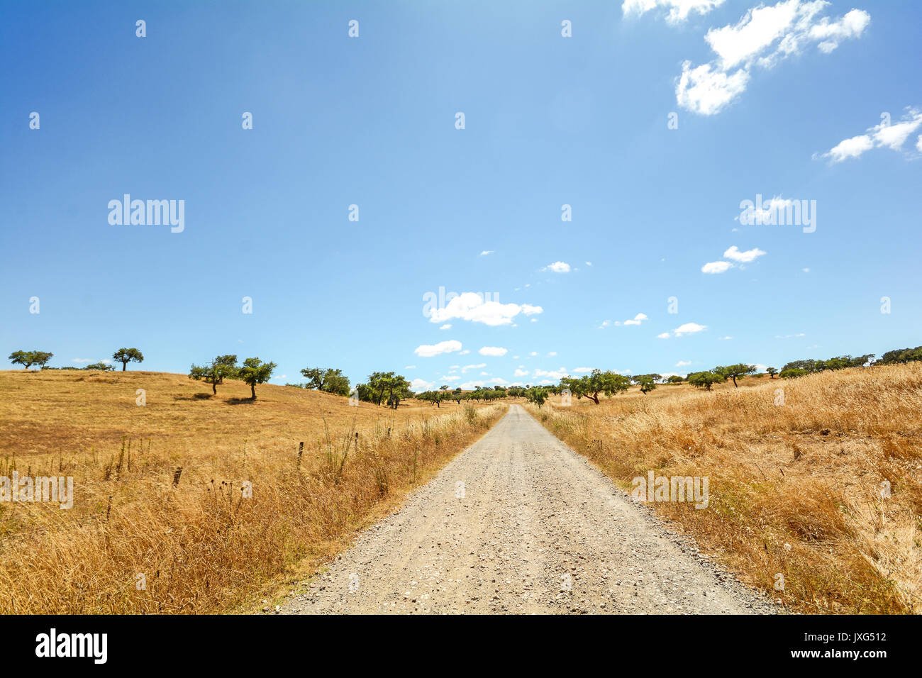 Gravel road through hilly Alentejo landscape with cork oak trees and ...