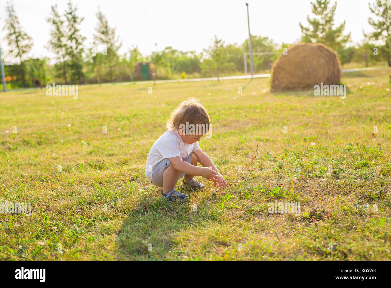 smiling boy in the field at sunny summer morning. boy in white shirt ...
