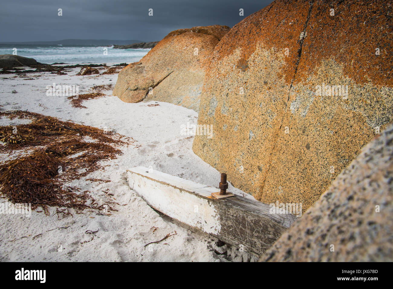Flotsam washed up on coastline at the Bay of Fires, Tasmania Stock ...