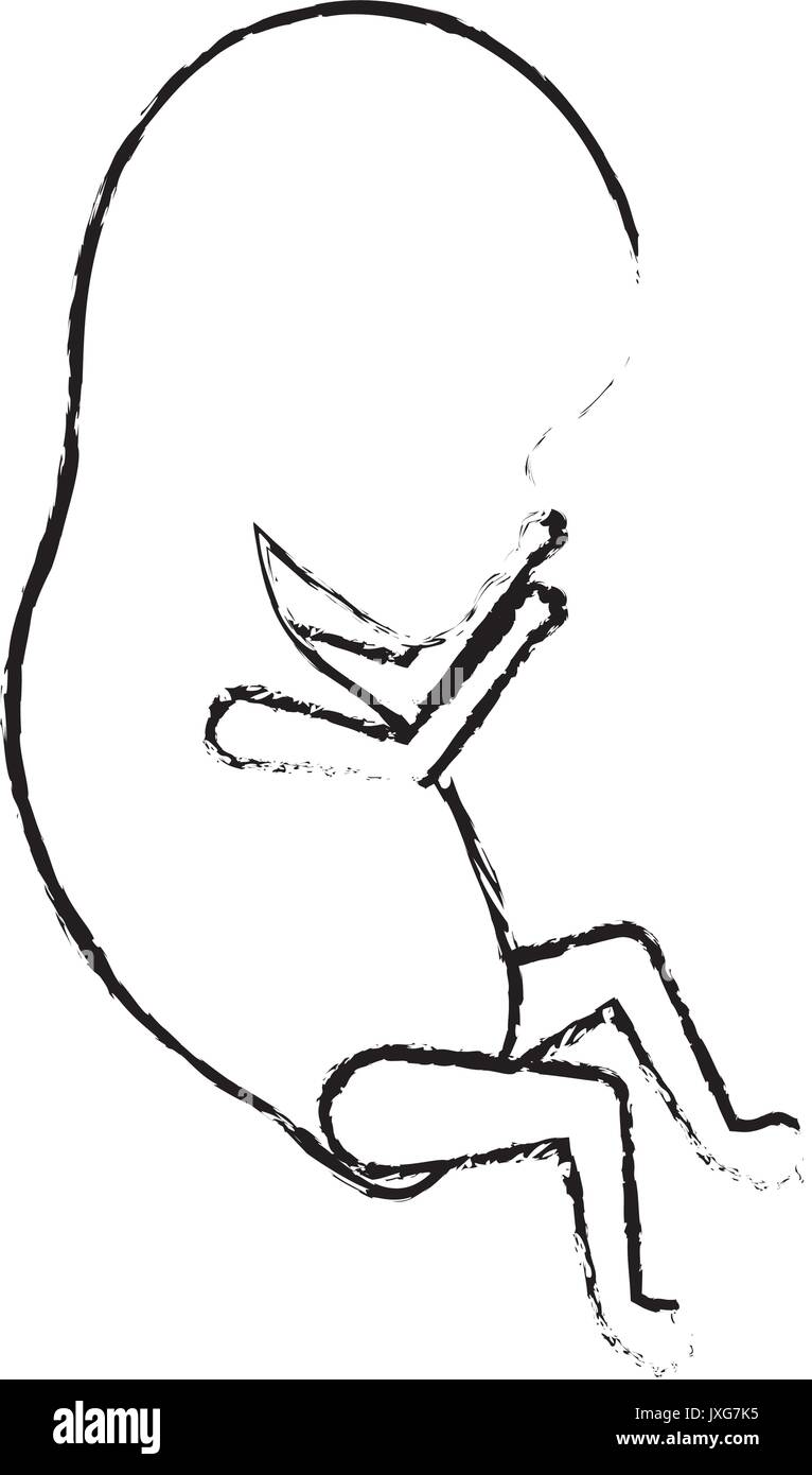 Umbilical view Black and White Stock Photos & Images - Alamy