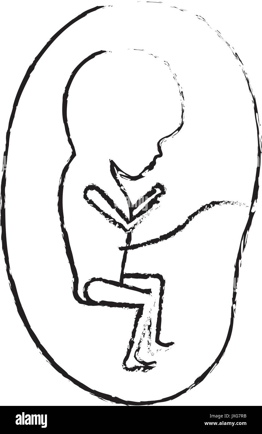 monochrome blurred silhouette of side view fetus human growth in ...