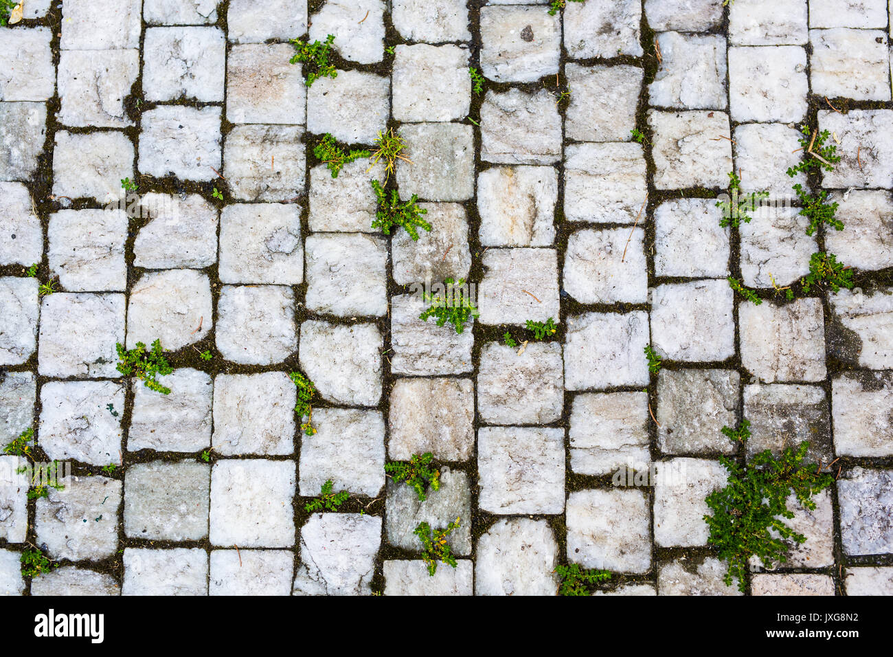 Paving Stones Road Texture Stock Photo - Alamy