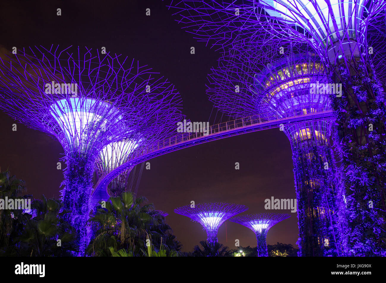 Gardens By The Bay, Super Grove at night Stock Photo - Alamy