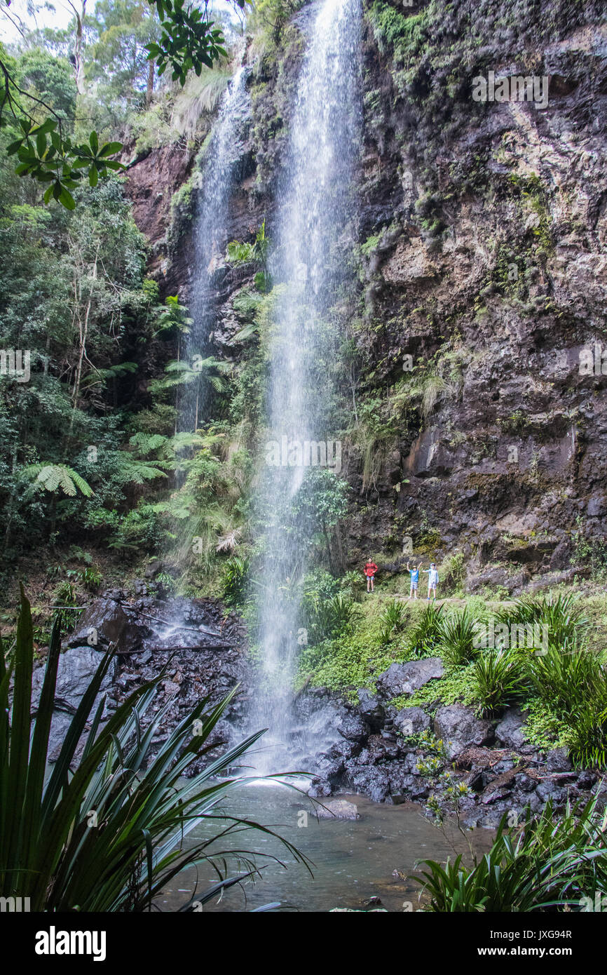 Twin Falls, Springbrook. Gold Coast Hinterland Stock Photo - Alamy
