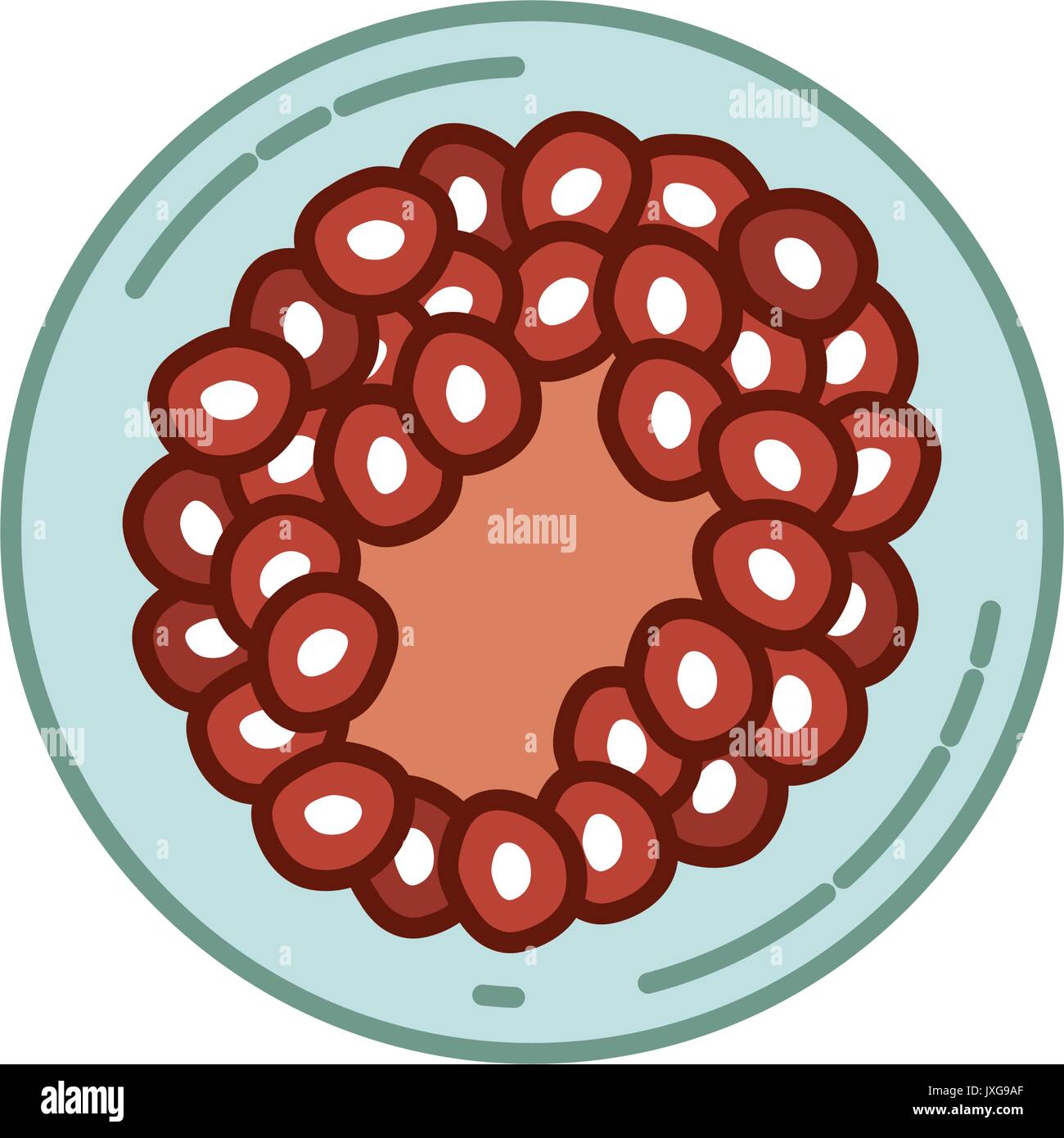 color silhouette of front view division of the ovule in several cells ...