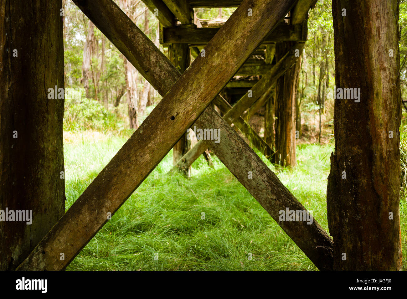 Old disused timber railway bridge in bushland near Daylesford, Victoria ...