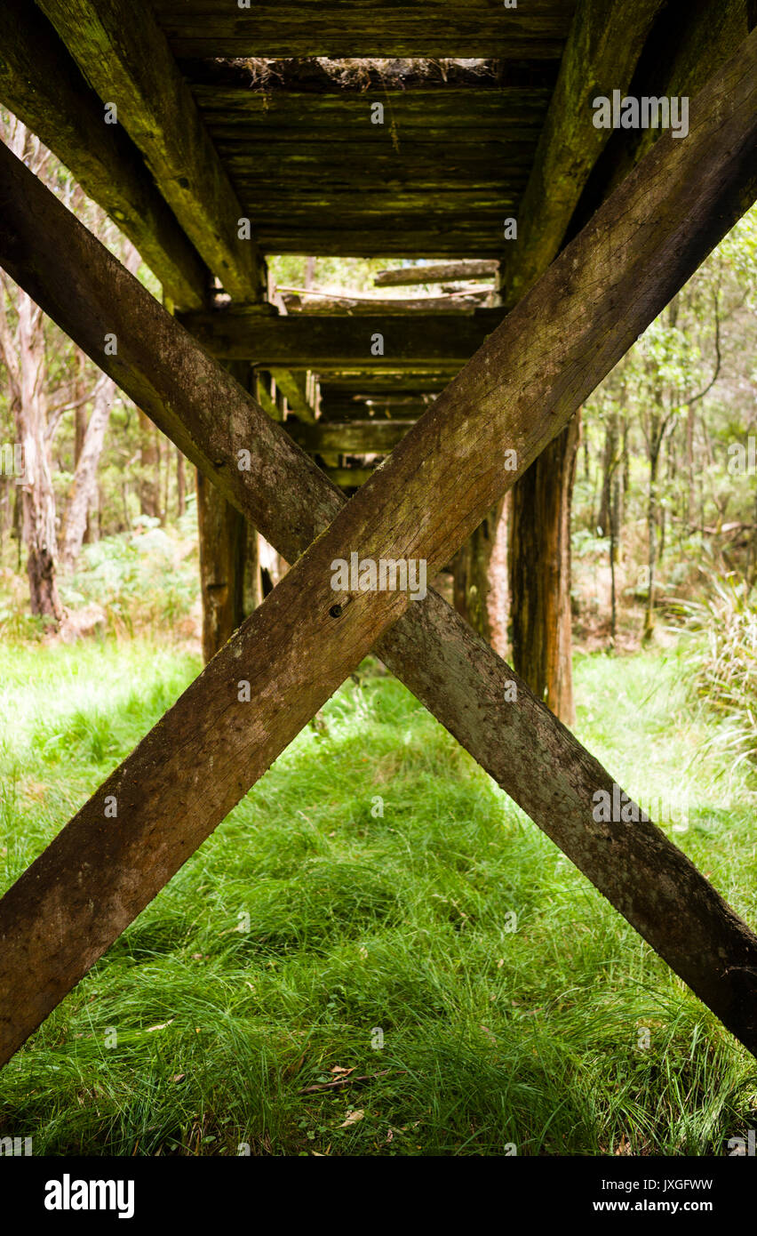 Old disused timber railway bridge in bushland near Daylesford, Victoria ...