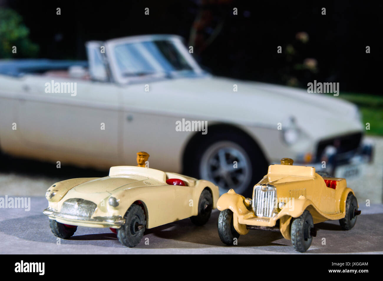 Vintage model MG A and MG TD cars with MG B in background in studio ...