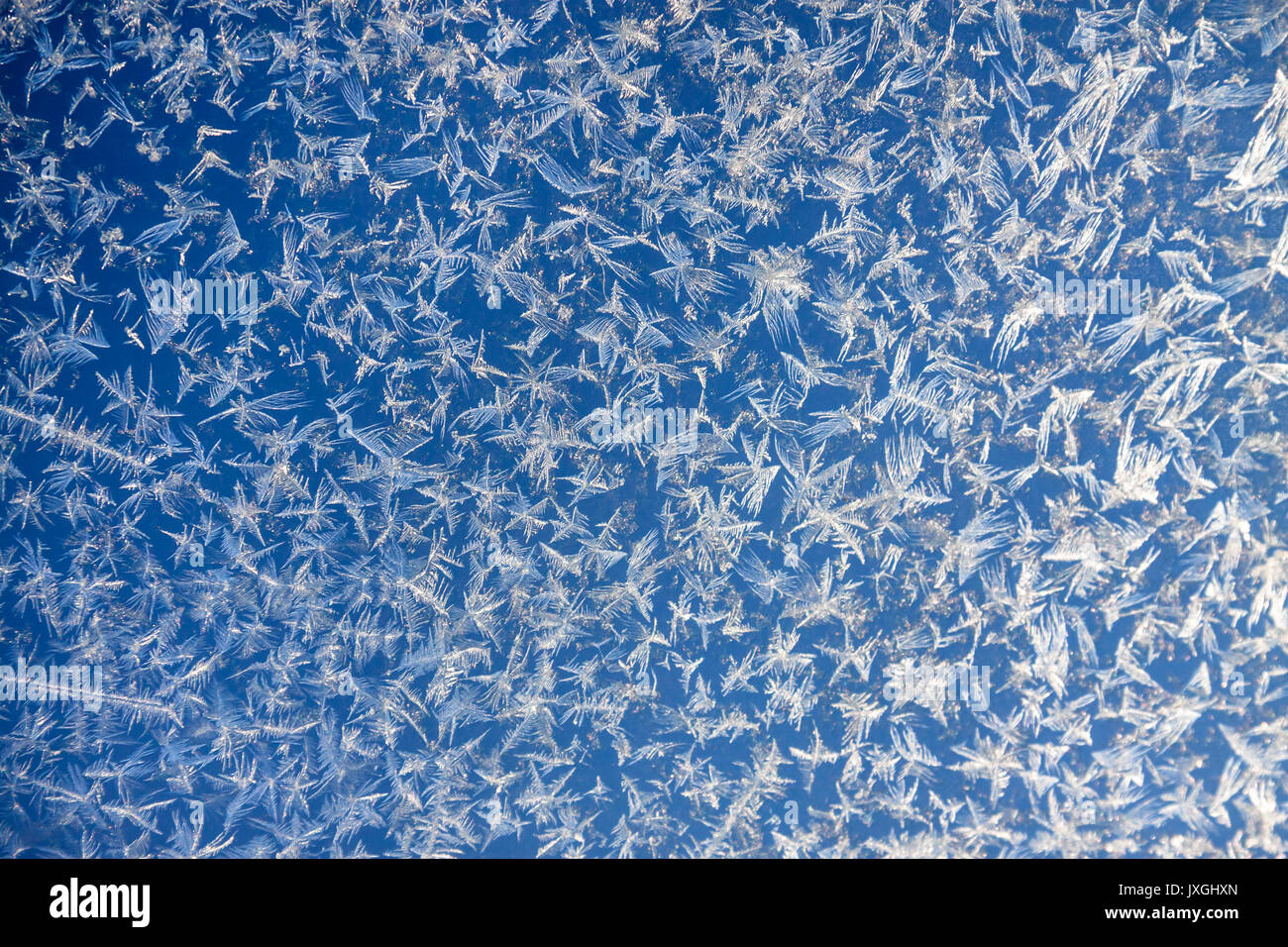 abstract blue a white background from frosty pattern at a frosted ...