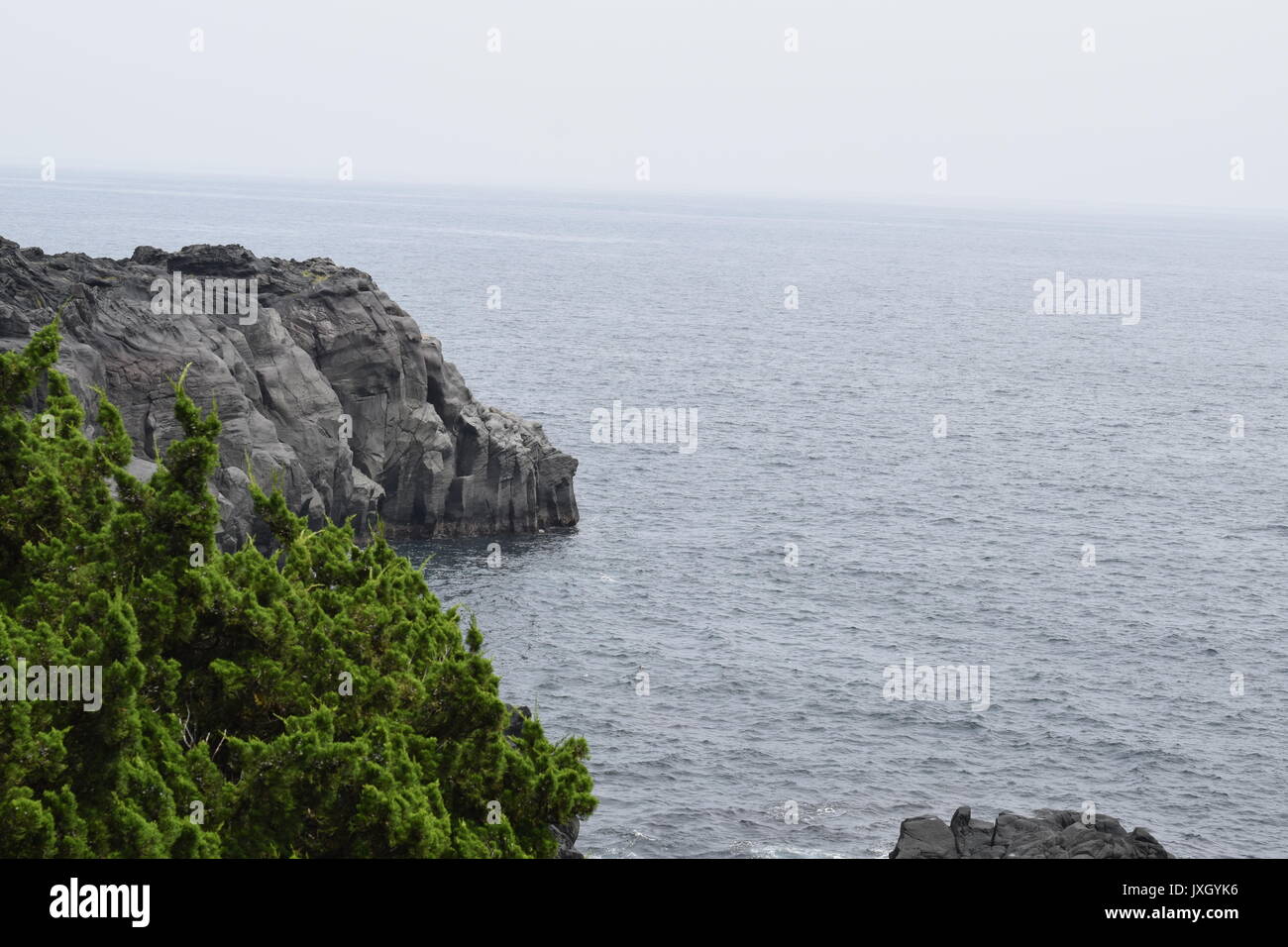 Murmuring trees hi-res stock photography and images - Alamy