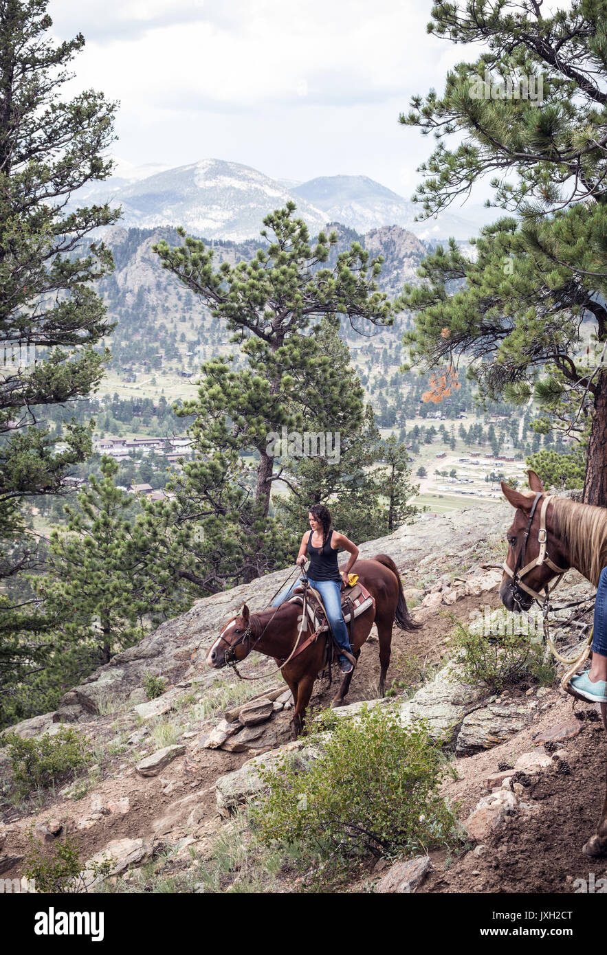Horses in colorado rocky mountains hi-res stock photography and images ...