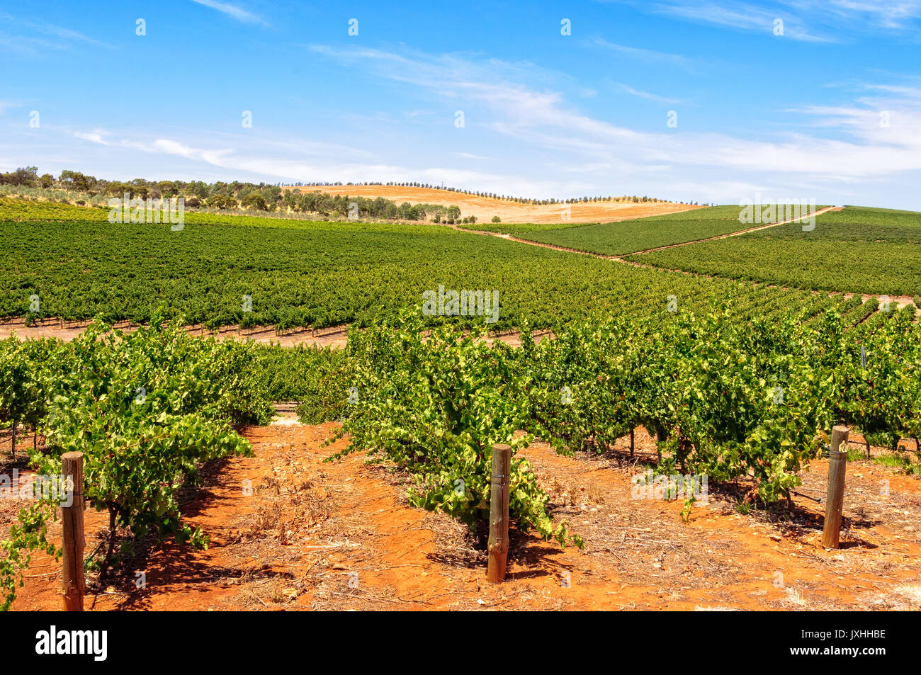 Clare valley hi-res stock photography and images - Alamy