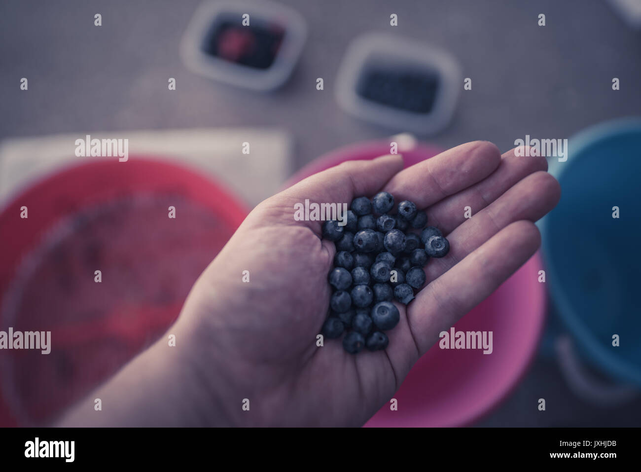Handful of fresh blueberries Stock Photo - Alamy