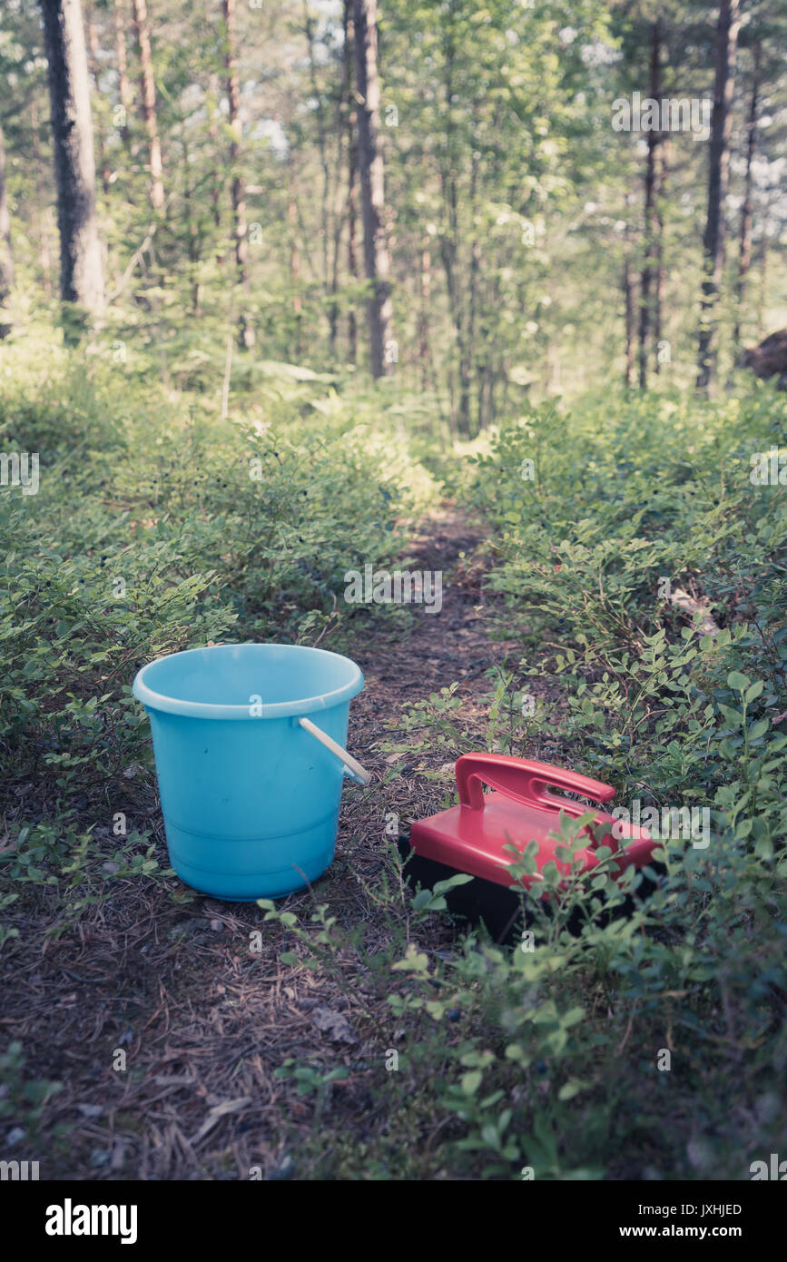Berry picking tools, a bucket and berry picker on a trail in woods ...