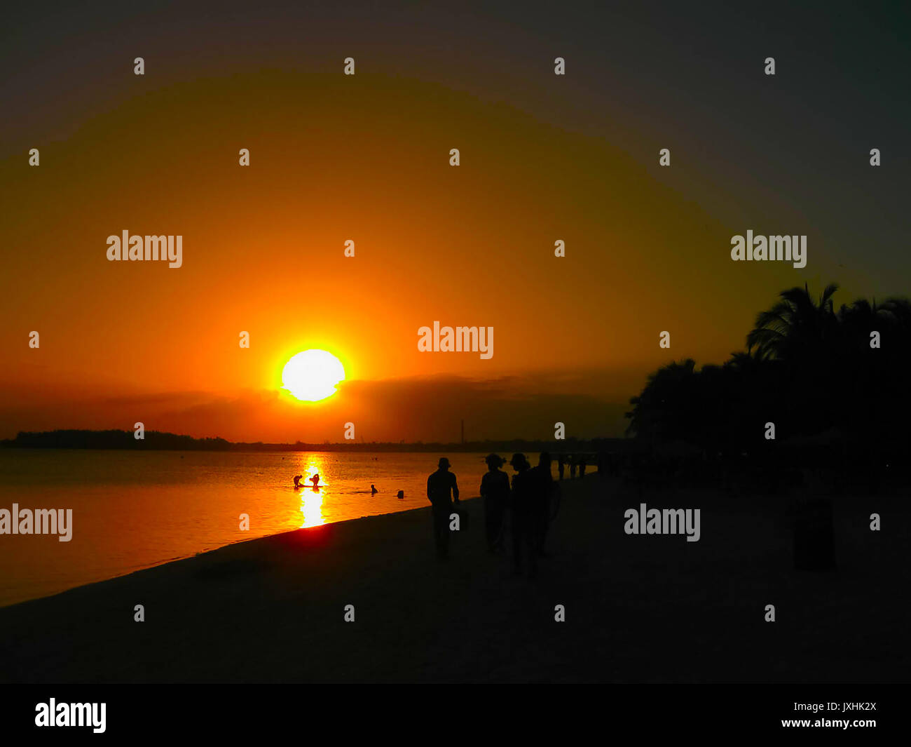 Sea shells souvenirs somewhere in Dominican Republic Stock Photo - Alamy