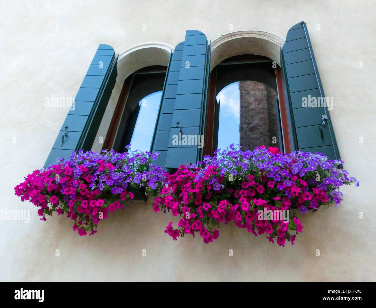 Window with flowers on old wall Stock Photo - Alamy