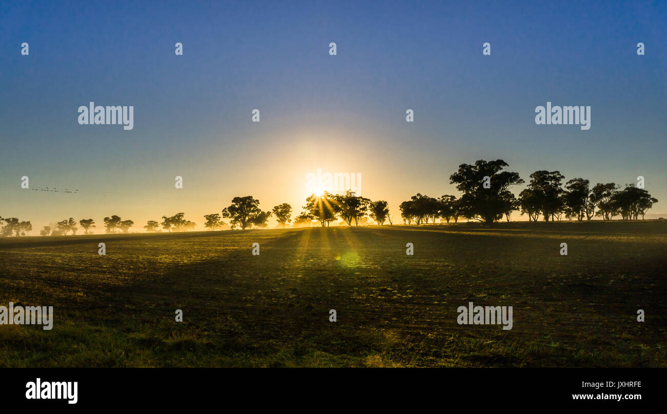 Harmony day australia hi-res stock photography and images - Alamy