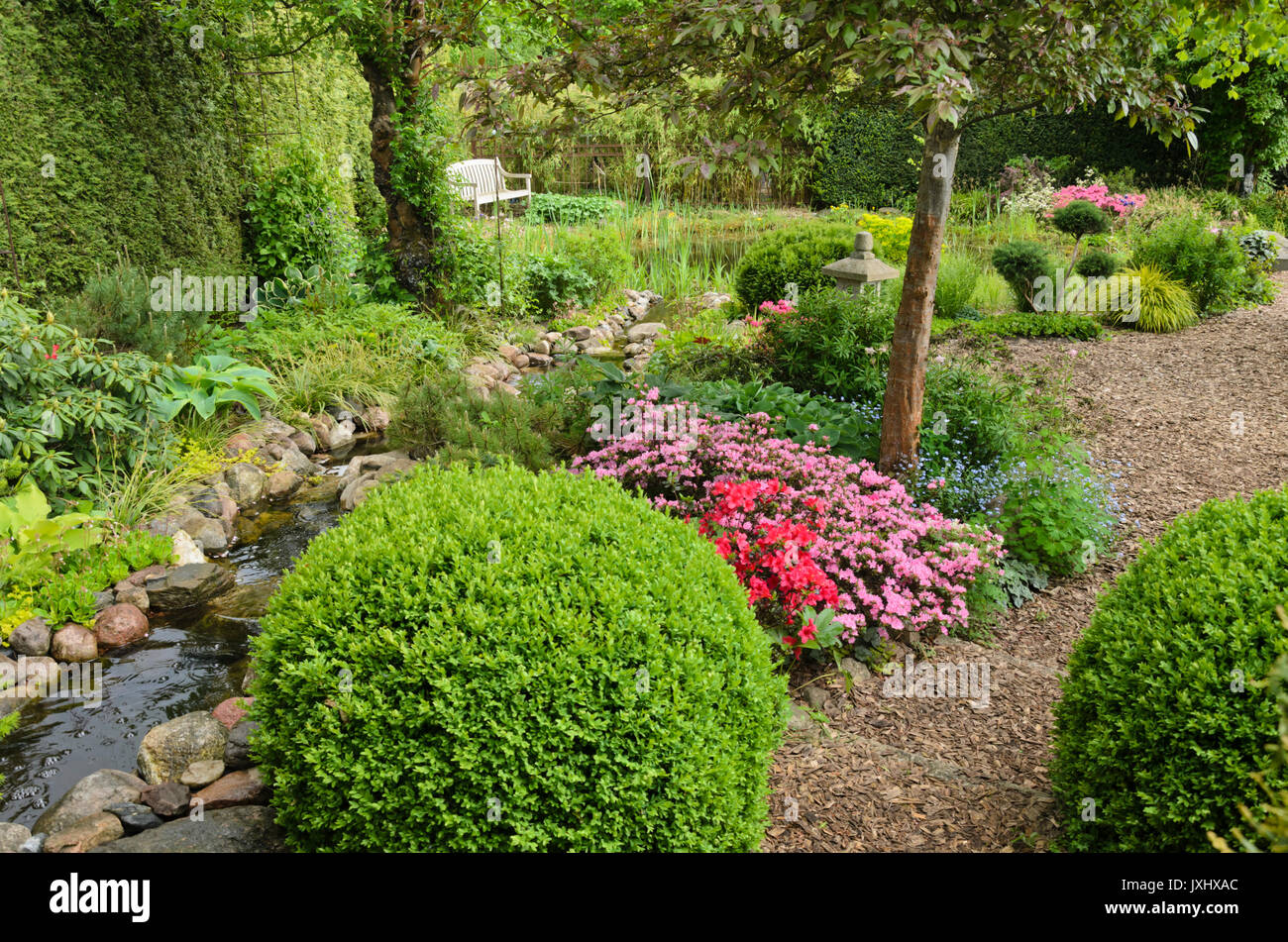 Boxwood (Buxus) and azaleas (Rhododendron) at an brook. Design ...