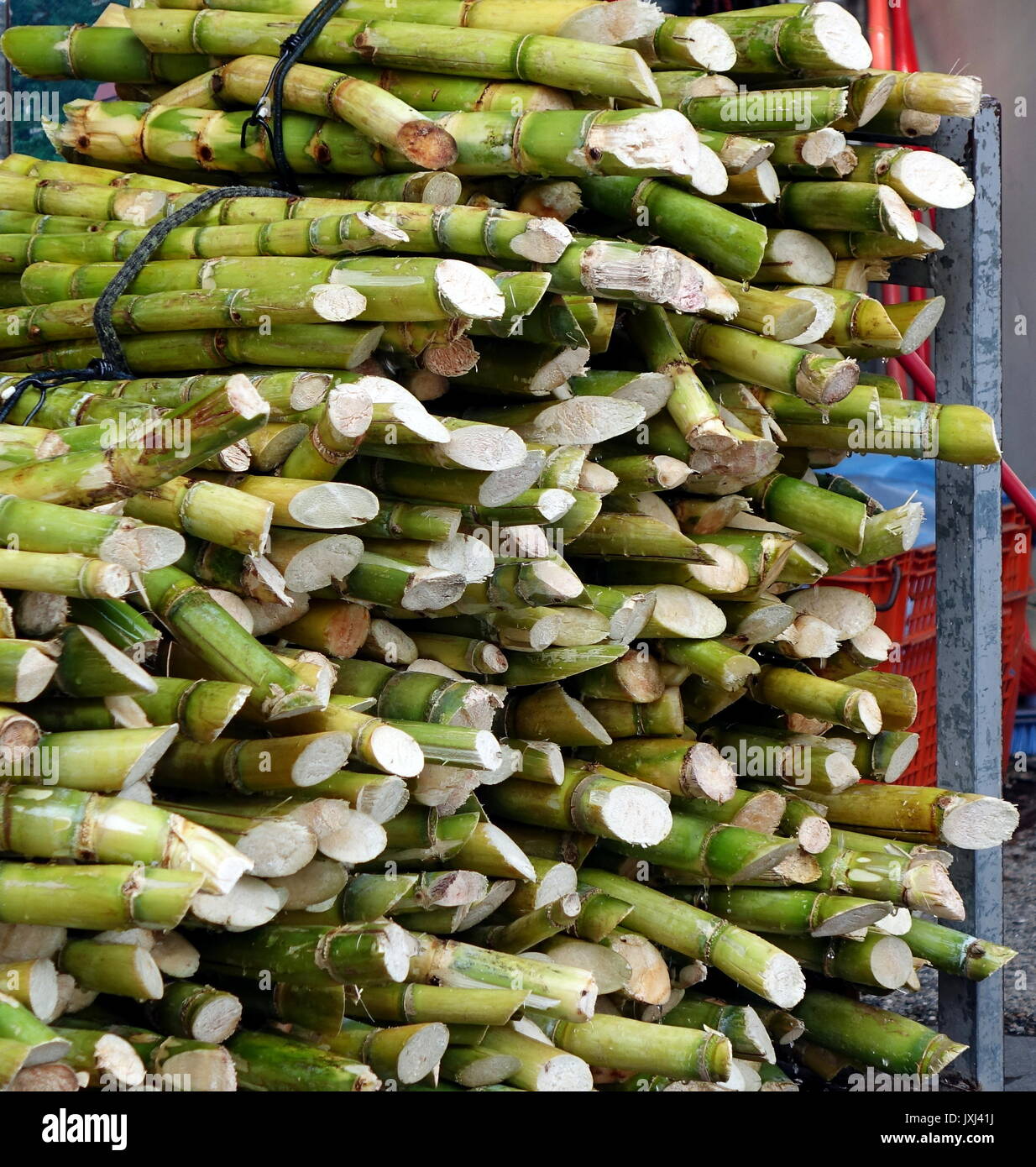 Bundles of fresh sugar cane for extracting the juice Stock Photo - Alamy