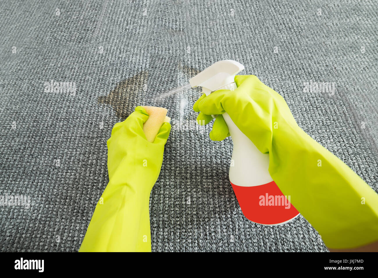 Person Hand Cleaning The Grey Carpet With Detergent And Sponge To ...