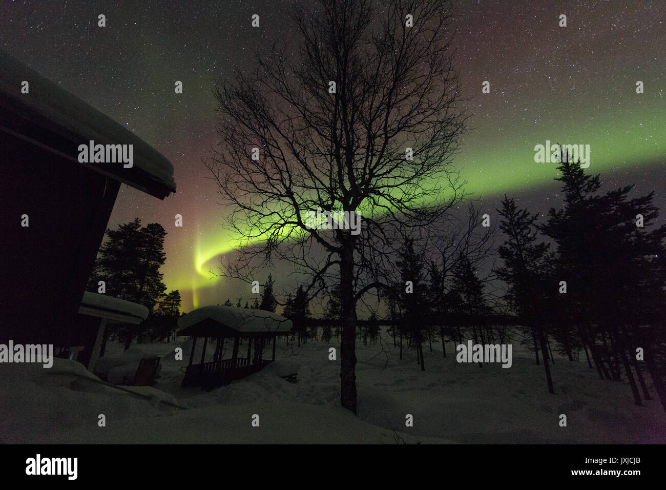 Frozen land in scandinavia and Aurora in the sky Stock Photo - Alamy