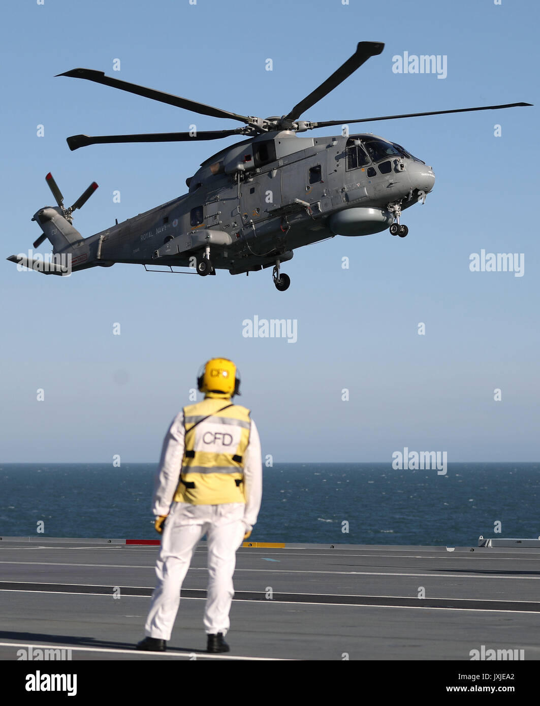 A crew member guides a Merlin helicopter in to land on the flight deck ...
